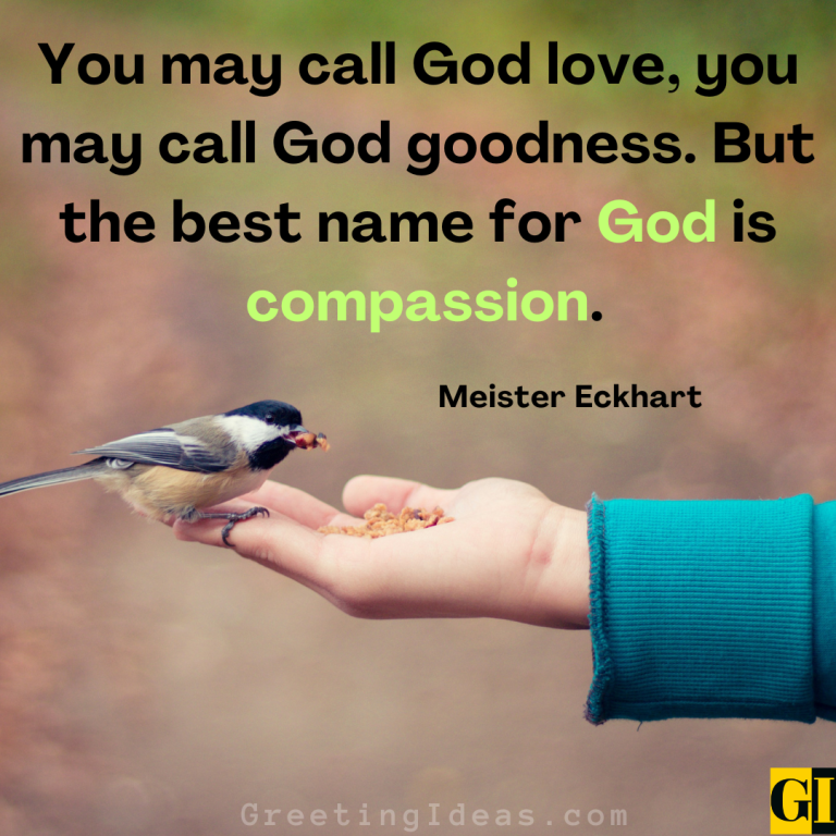 80 Famous Compassion Quotes To Ignite Kindness Within