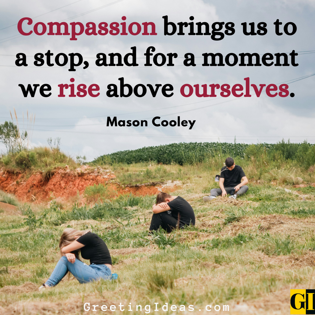 80 Famous Compassion Quotes To Ignite Kindness Within