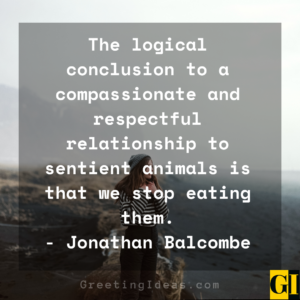 50 Great Conclusion Quotes Sayings That Are Impactful
