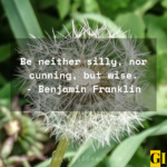 35 Top Cunning Quotes On Selfish People And Their Deceptions