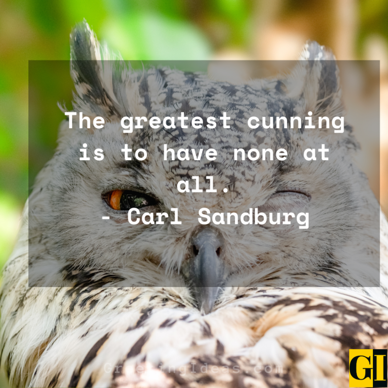 35 Top Cunning Quotes On Selfish People And Their Deceptions