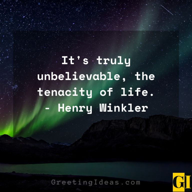 30 Best Unbelievable Quotes and Sayings about Love and Life