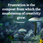 31 Overcoming Frustration Quotes In Work and Relationships