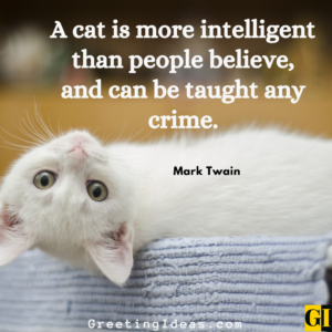 55 Hello Kitty Quotes And Sayings For Cat Lovers