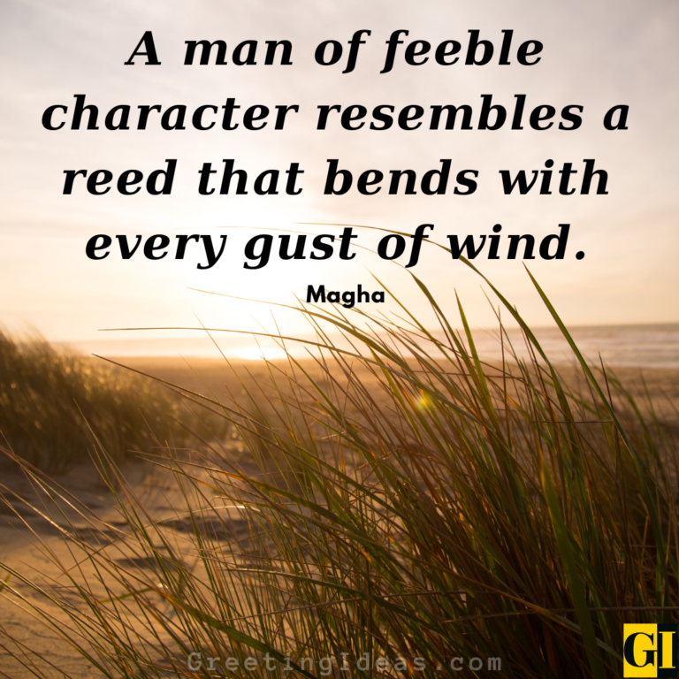 21 Top Lame Quotes And Sayings For A Lighthearted Life