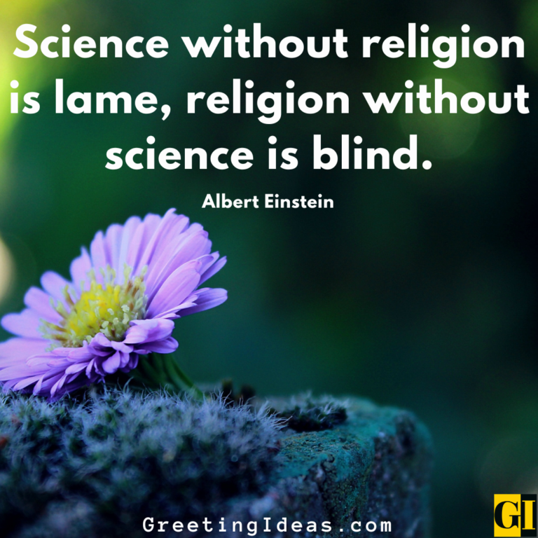 21 Top Lame Quotes And Sayings For A Lighthearted Life
