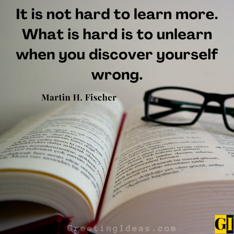 90 Never Stop Learning Quotes For Self Growth