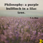 45 Romantic Lilac Quotes Sayings For The Young Lovers