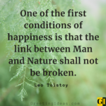 15 Famous Link Quotes And Sayings About Life