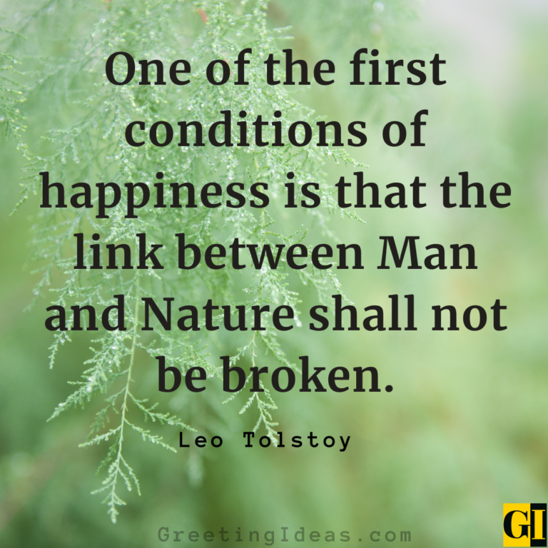 15 Famous Link Quotes And Sayings About Life