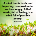 20 Uplifting Lively Quotes And Sayings For Myself