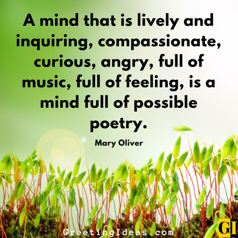 20 Uplifting Lively Quotes And Sayings For Myself