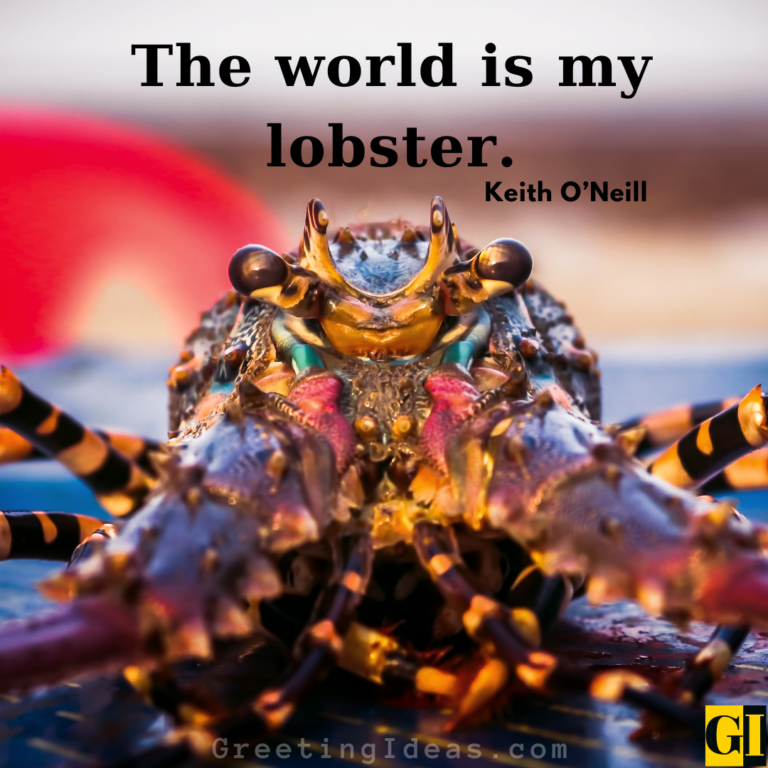 30 Famous Lobster Quotes And Sayings For Ocean Admirers
