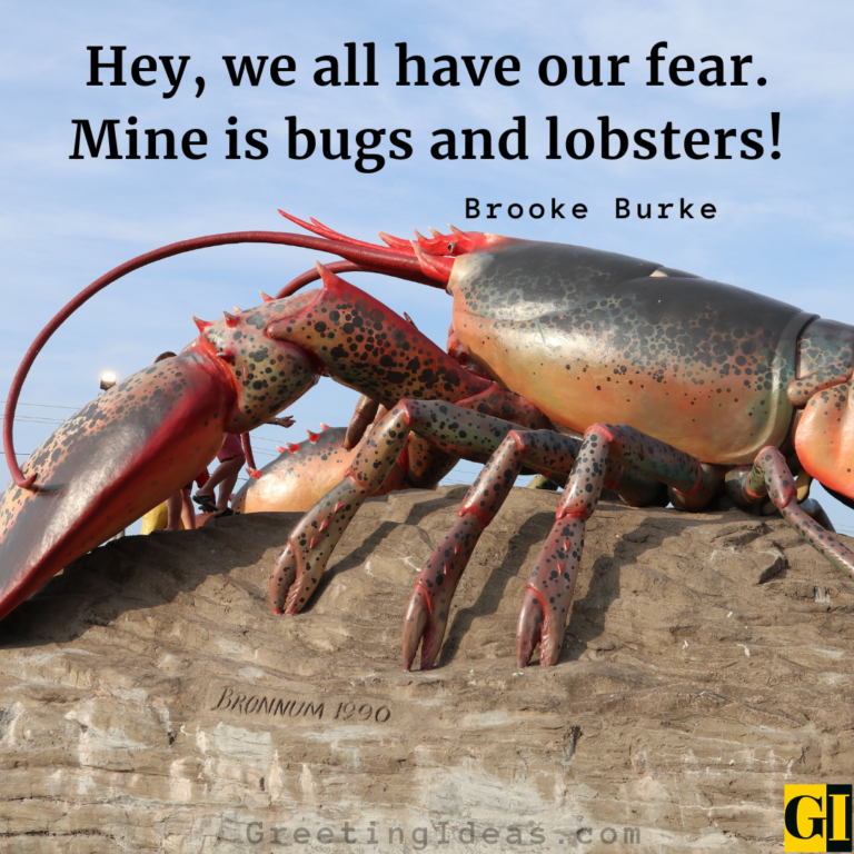 30 Famous Lobster Quotes And Sayings For Ocean Admirers