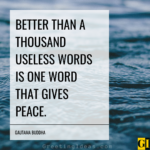50 Best Peace Quotes and Sayings for a Calmer Self