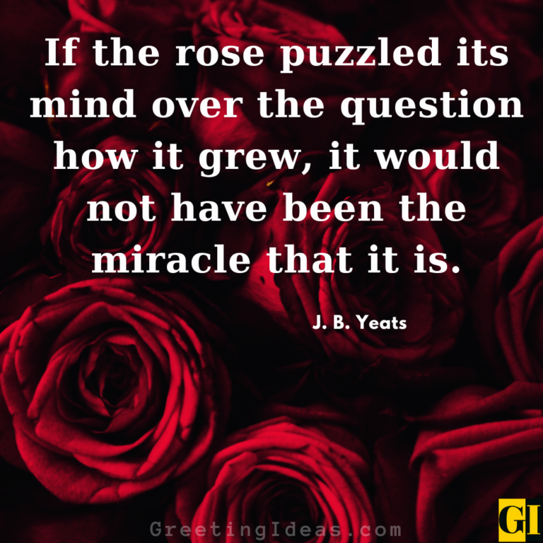 80 Deep Roses Quotes On Beauty, Love And Thorns