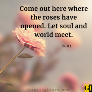 80 Deep Roses Quotes On Beauty, Love And Thorns