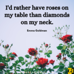 80 Deep Roses Quotes On Beauty, Love And Thorns