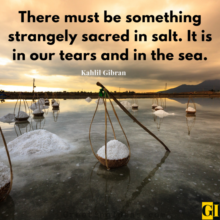 20 Thoughtful Salt Quotes, Sayings, and Phrases