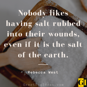 20 Thoughtful Salt Quotes, Sayings, and Phrases