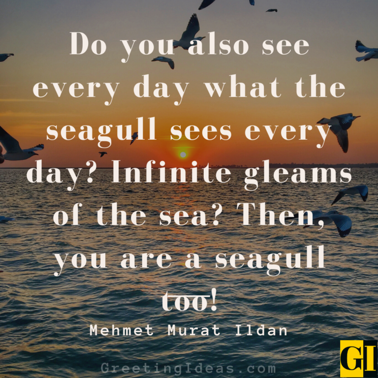 20 Inspiring Seagull Quotes and Saying for a Successful Life
