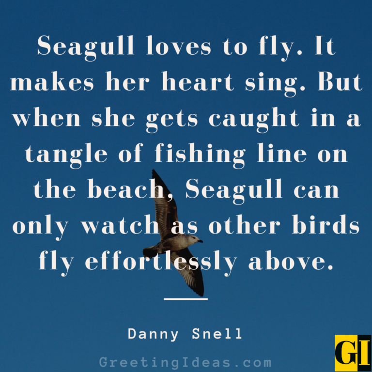 20 Inspiring Seagull Quotes and Saying for a Successful Life