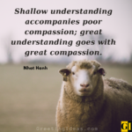 25 Don’t Be Shallow Quotes and Sayings for Deep Living