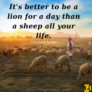 30 Inspiring Sheep Quotes and Saying to Break Mediocrity