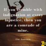 40 Best Shiver Quotes Sayings and Phrases