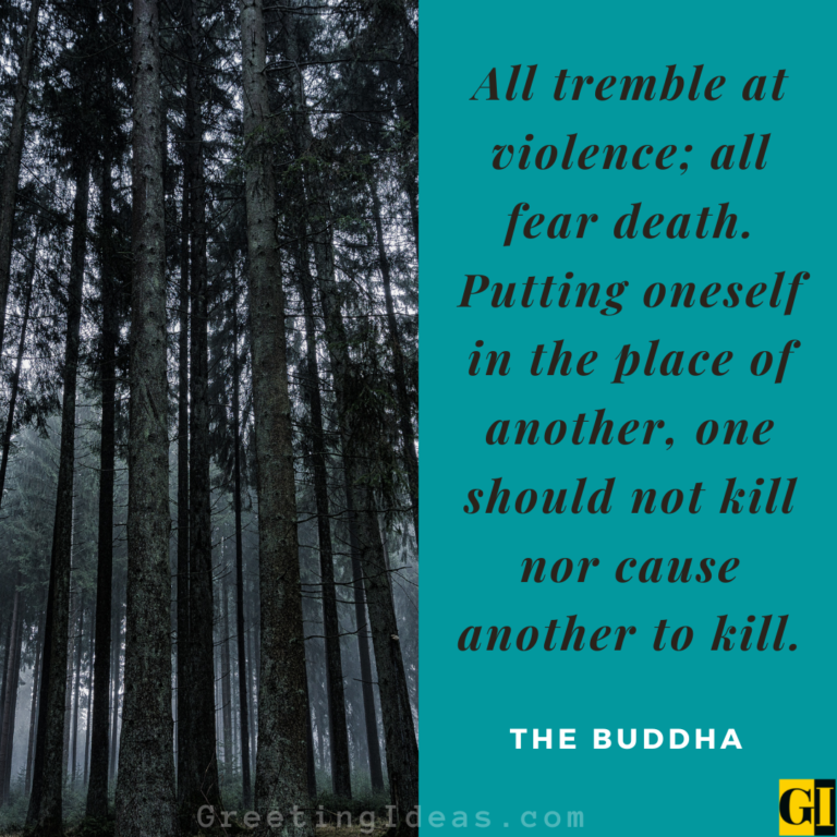 40 Best Shiver Quotes Sayings and Phrases