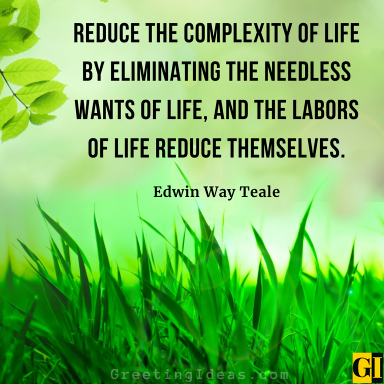 100 Inspiring Live A Simple Life Quotes And Sayings