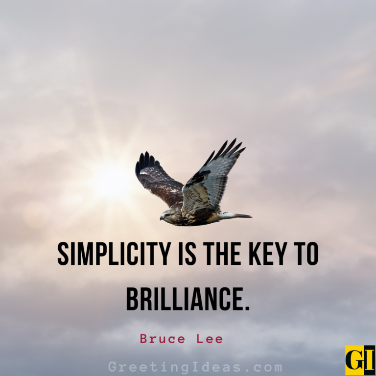 48 Best Simplicity Quotes and Sayings for Light-hearted Life