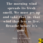 40 Soothing Smell Quotes and Sayings for Good Vibes