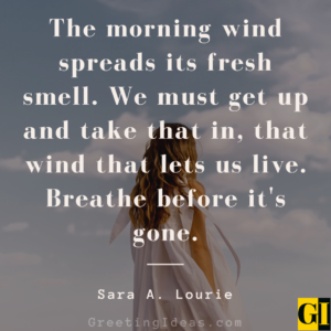 40 Soothing Smell Quotes and Sayings for Good Vibes