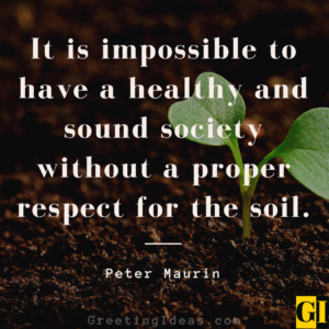 40 Inspiring Soil Quotes and Sayings and the Human Bond