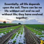 40 Inspiring Soil Quotes and Sayings and the Human Bond