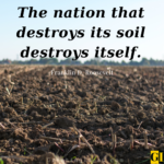 40 Inspiring Soil Quotes and Sayings and the Human Bond