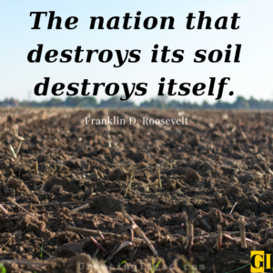 40 Inspiring Soil Quotes and Sayings and the Human Bond