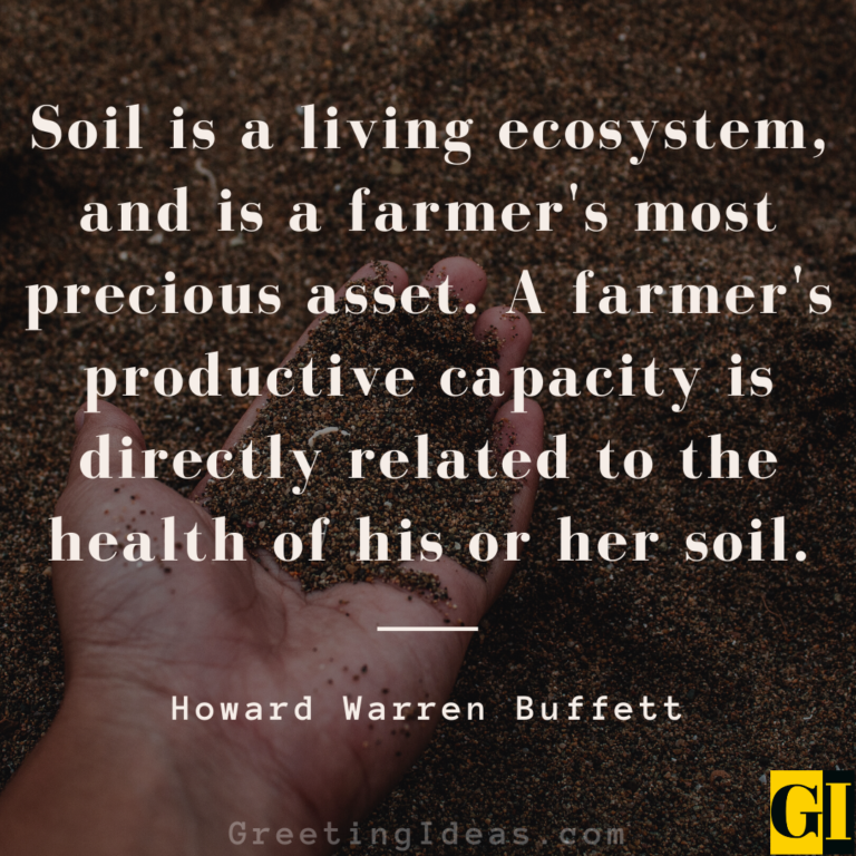 40 Inspiring Soil Quotes and Sayings and the Human Bond