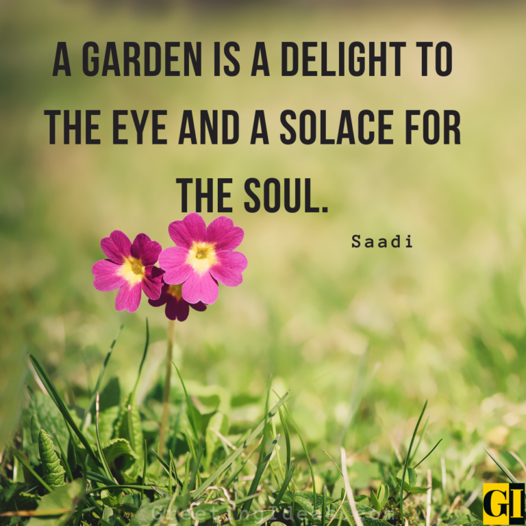 20 Finding Solace Quotes and Sayings for Peace of Mind