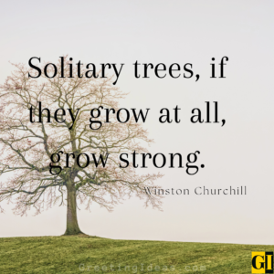 20 Soulful Solitary Quotes and Sayings to Relax Your Mind