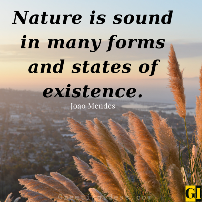 25 Soulful Sound Quotes and Sayings on Life and Silence