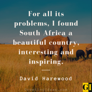 30 Best South Africa Quotes And Sayings on Love and Freedom