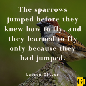 30 Famous Sparrow Quotes, Sayings, and Proverbs