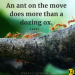 35 Motivational Ant Quotes On Team Work