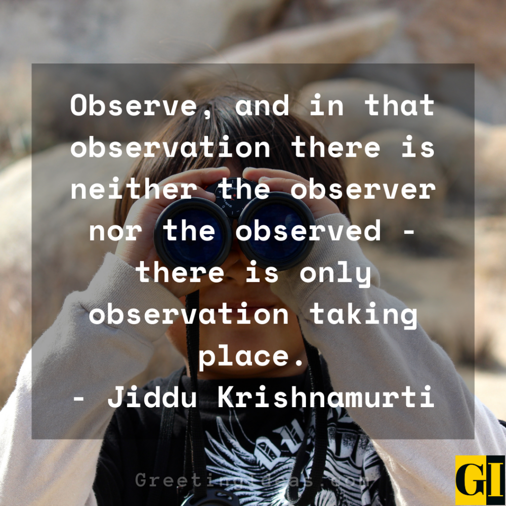 50 Best Keen and Silent Observation Quotes and Sayings