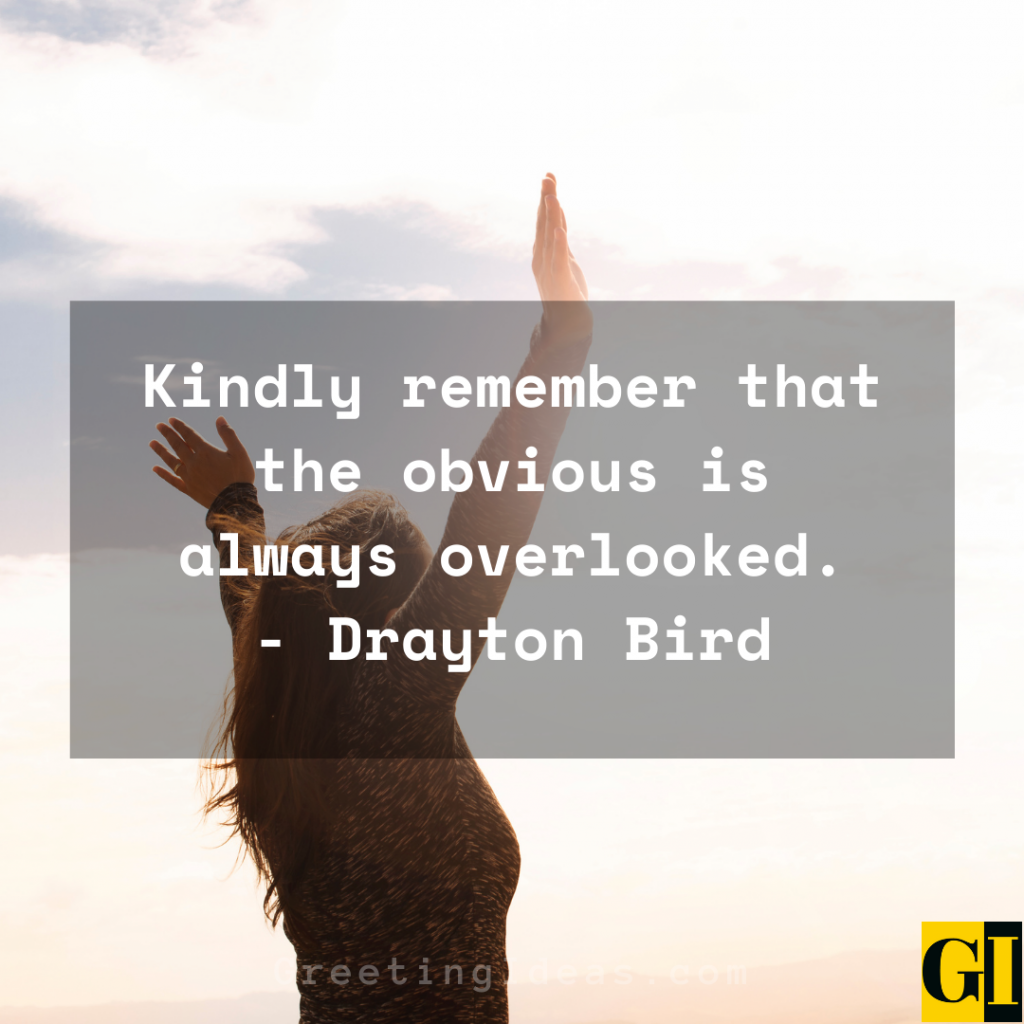 50 Best Obvious Quotes, Sayings and Phrases