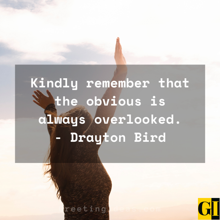 50 Best Obvious Quotes, Sayings and Phrases