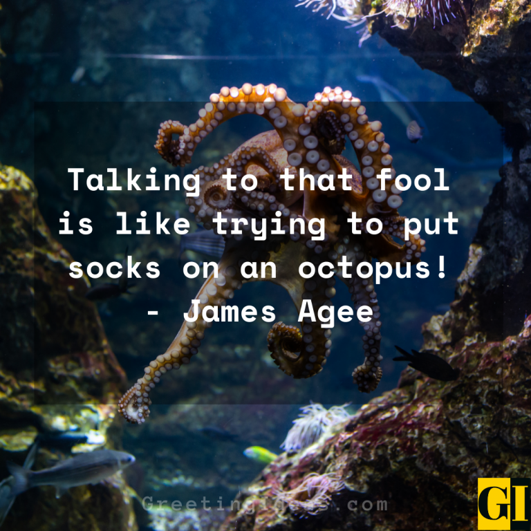 30 Best Octopus Quotes, Sayings and Phrases