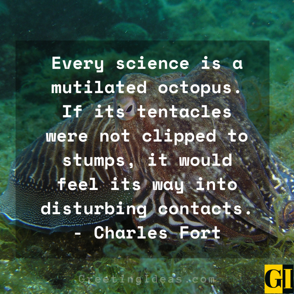 30 Best Octopus Quotes, Sayings and Phrases